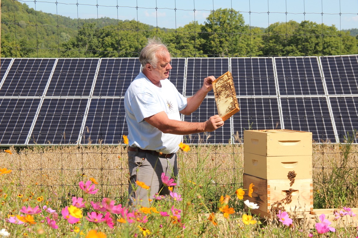 Solar Power and Beekeeping - IES